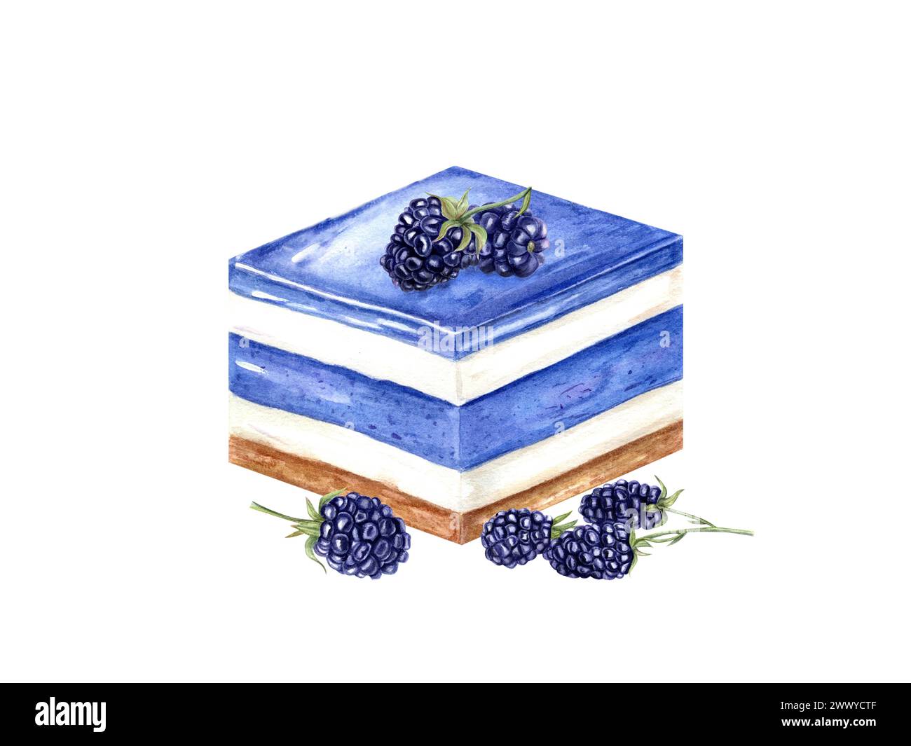 Square cake with berry yoghurt cream. White and blue mousse. Ripe ...