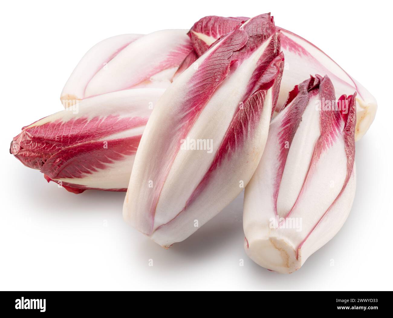 Red endive on white background. File contains clipping path Stock Photo ...