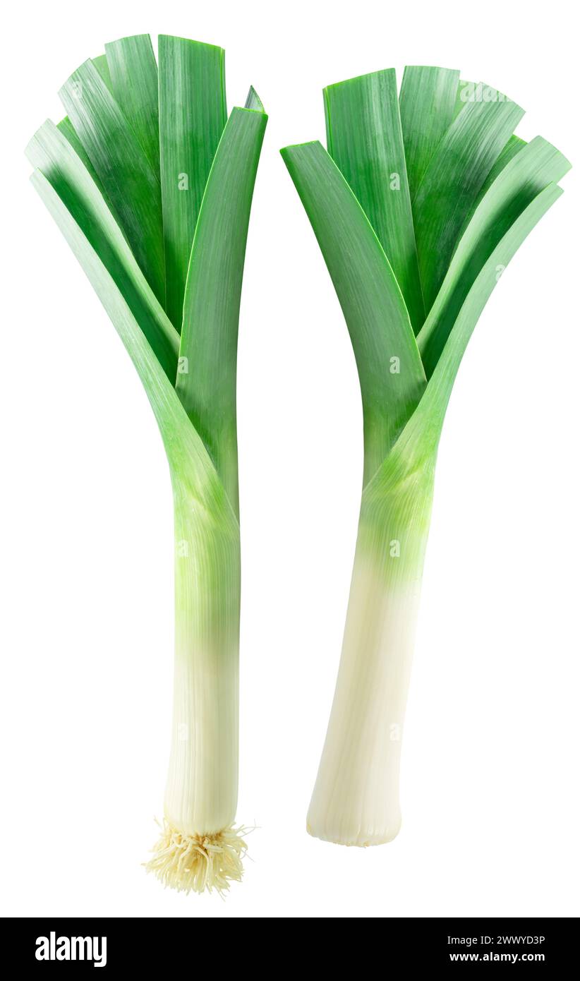 Fresh green leek stems isolated on white background. File contains ...