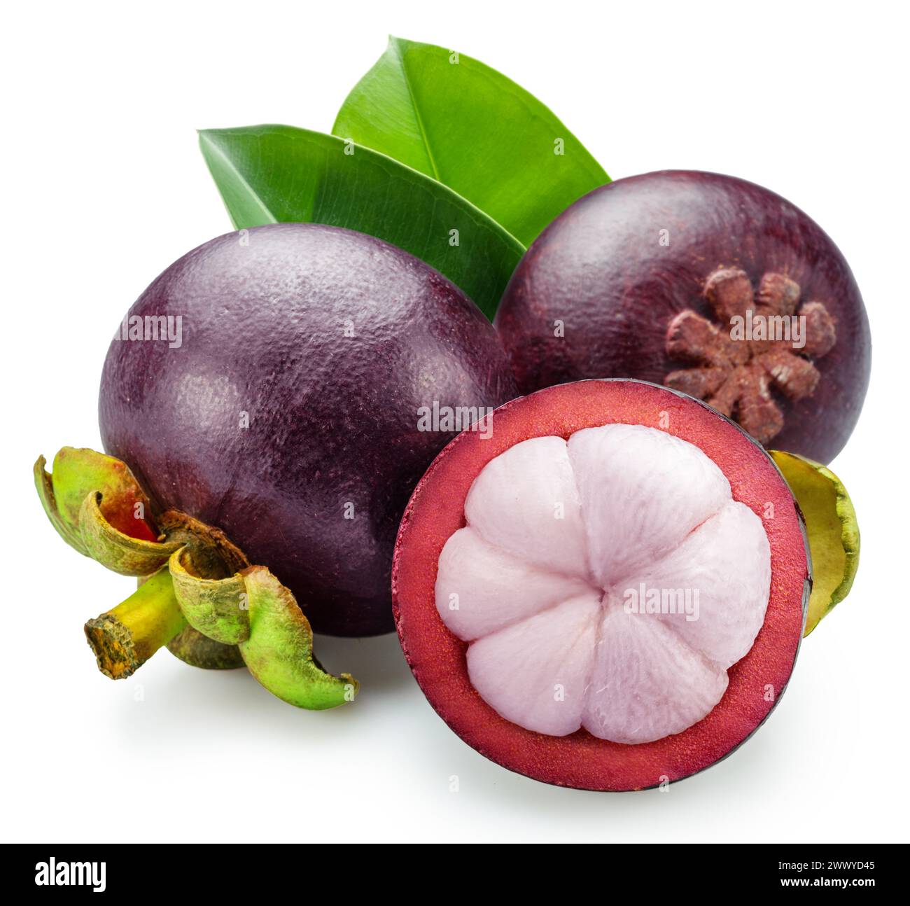 Mangosteen fruits and cross slice of mangosteen isolated on white ...