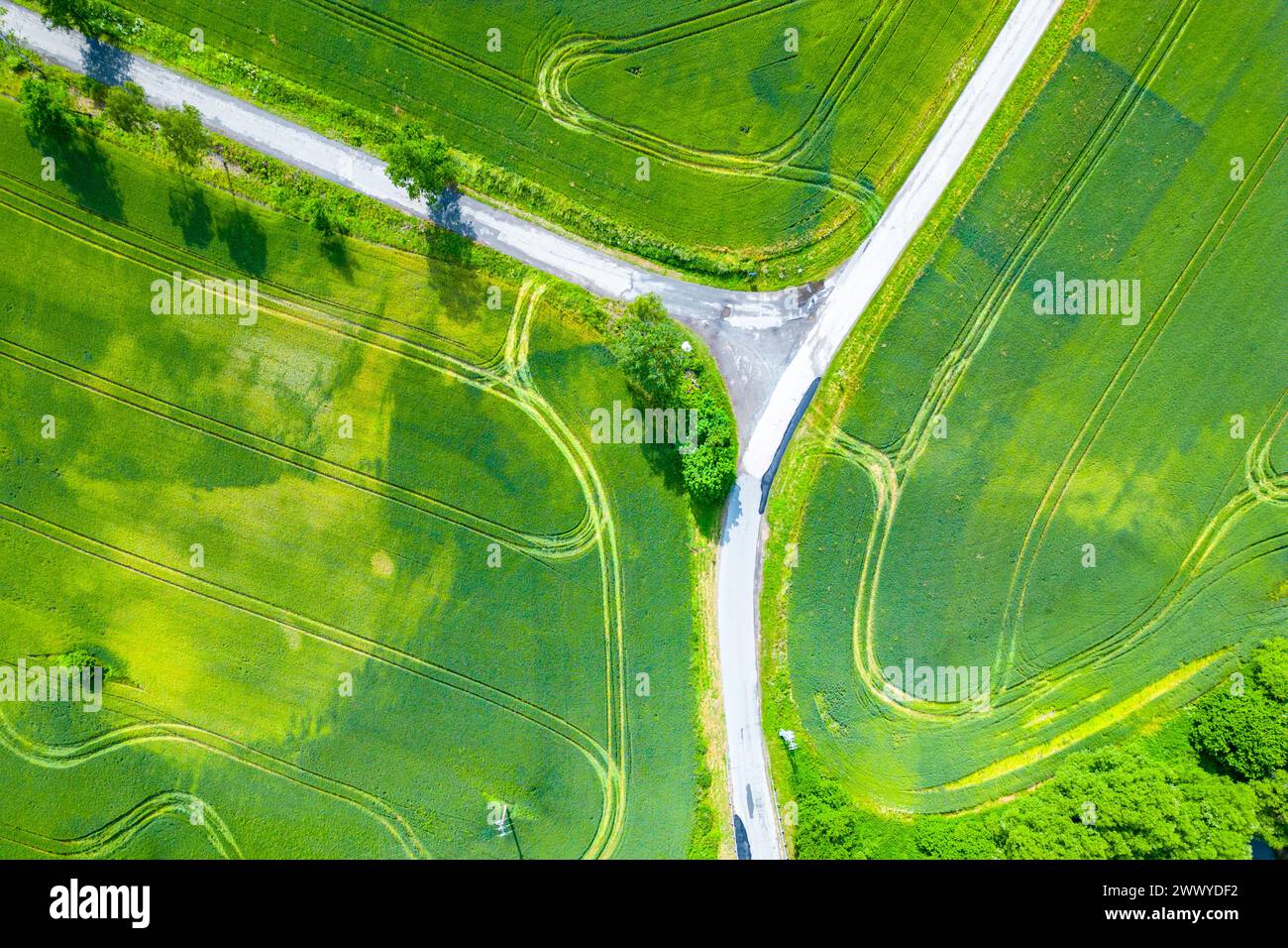 Aerial shot captures the serene beauty of intersecting roads amidst ...