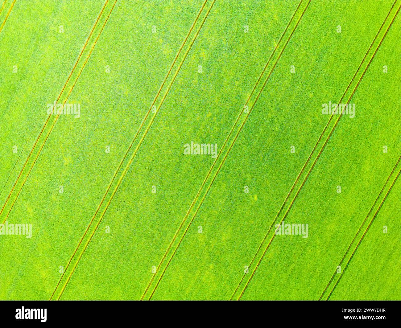 An aerial view of vibrant green fields showcasing the harmony between ...