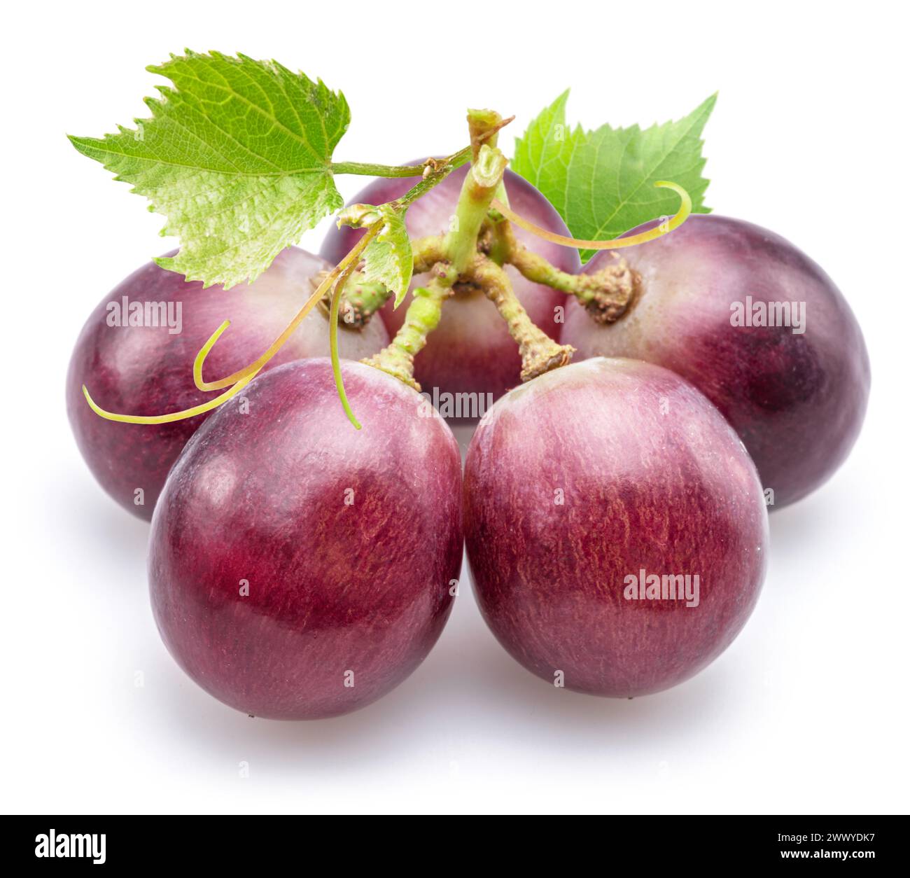 Small bunch of red table grape with grape leaves isolated on white ...