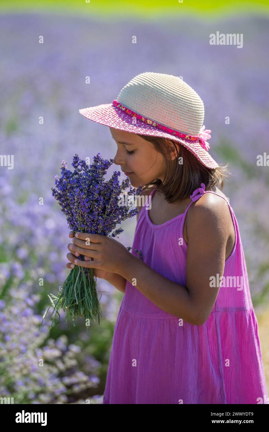 Portrait of little girl sniffing flowers in the lavender field Stock ...