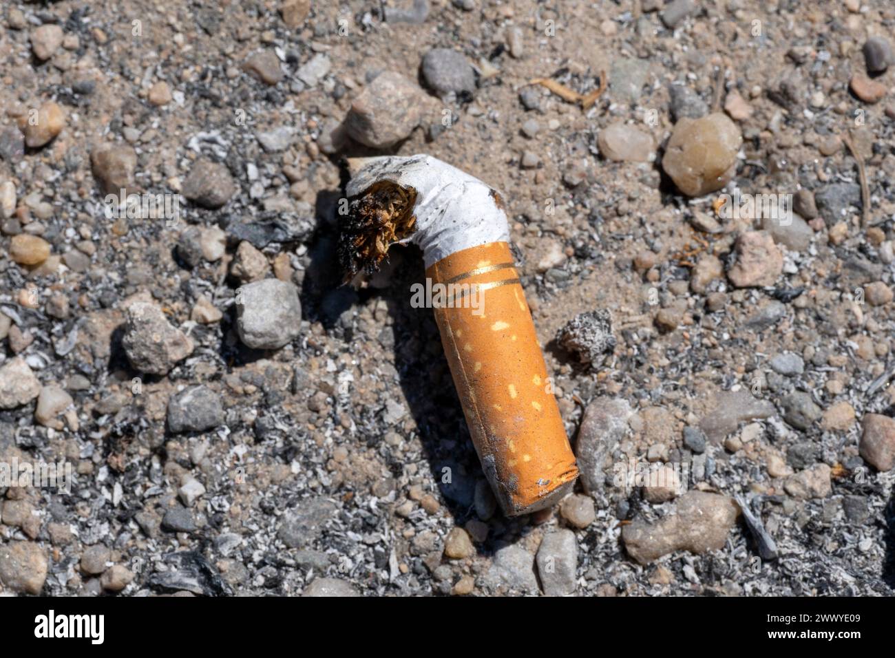 Urban relics. Exploring the macro world of cigarette butt, on the ...