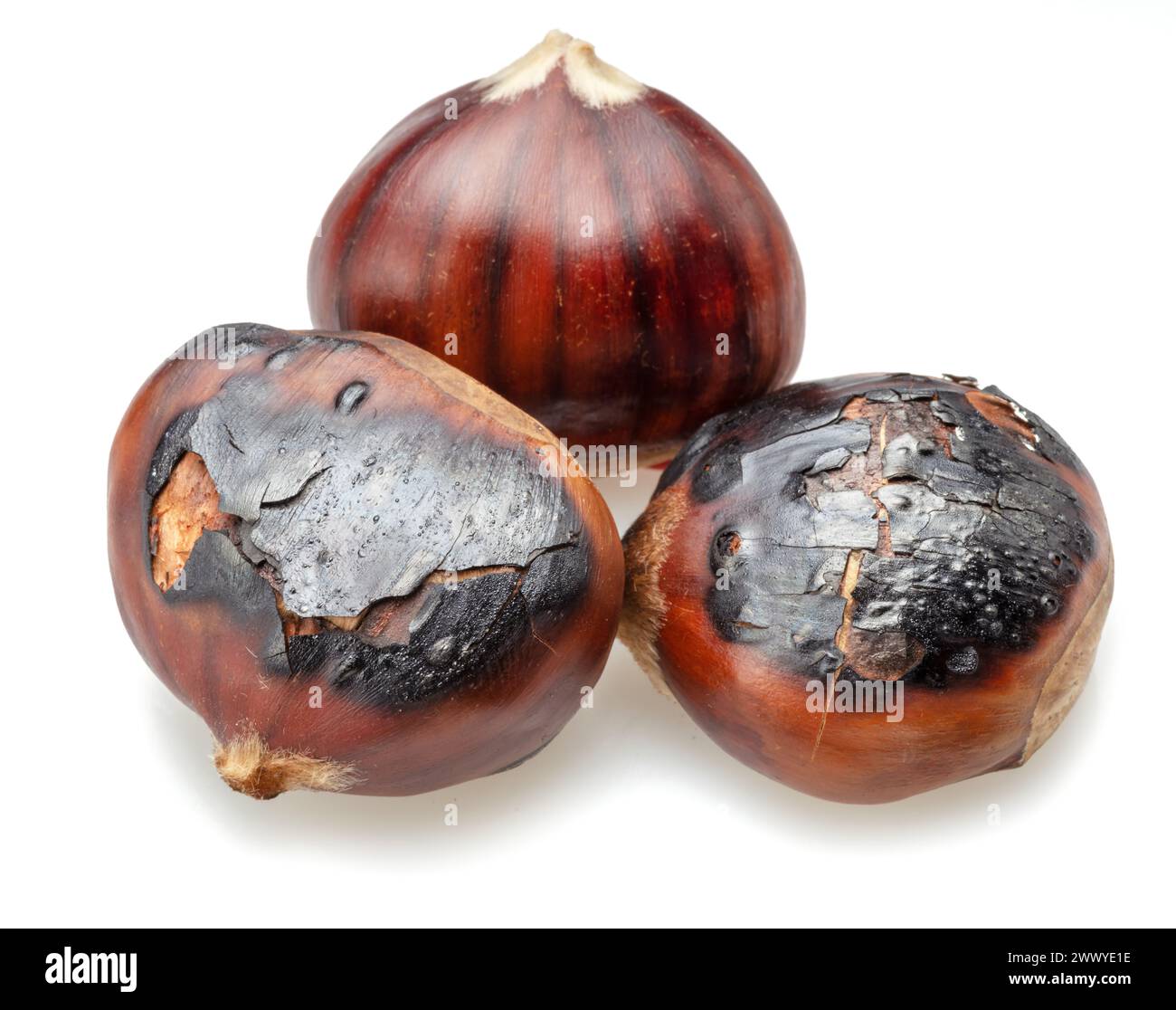 Edible sweet chestnuts with roasted chestnuts isolated on white ...