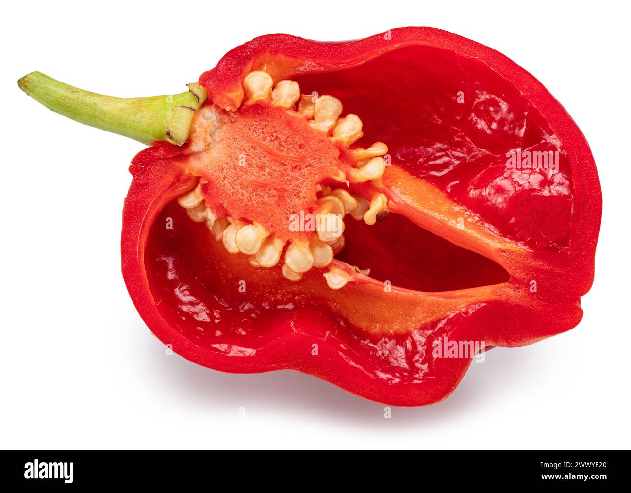 Red habanero pepper cross section on white background. File contains ...