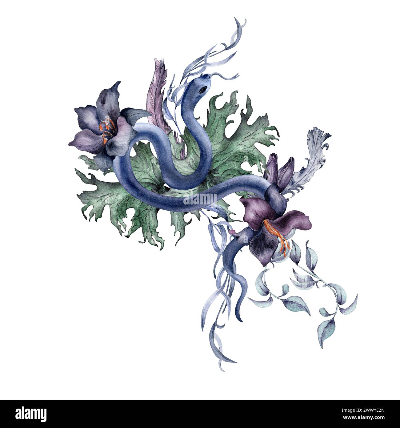 Gothic floral botanical Illustration with snake and flowers hand drawn ...