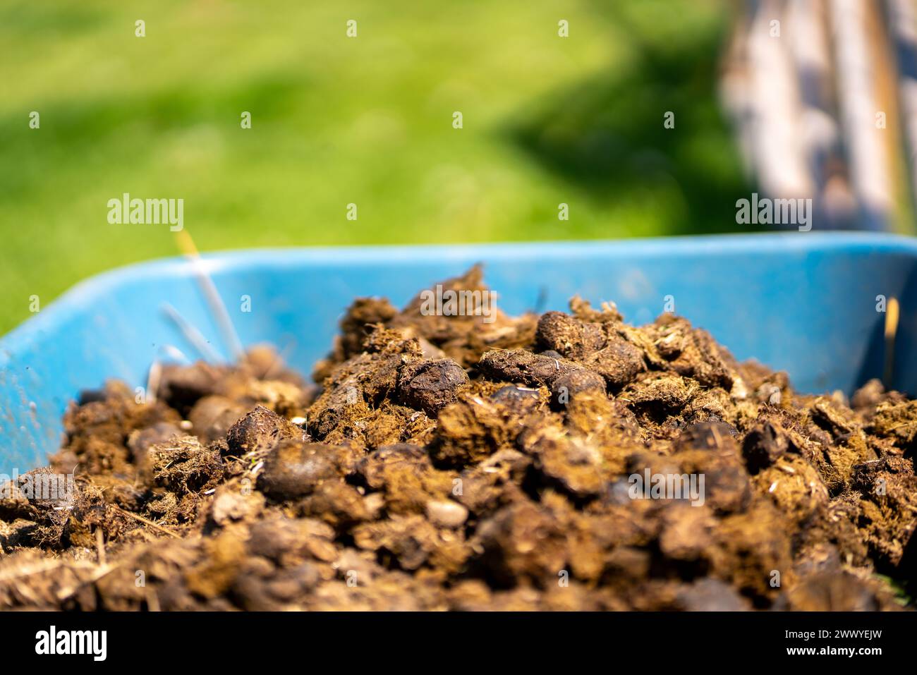Animal droppings hi-res stock photography and images - Alamy