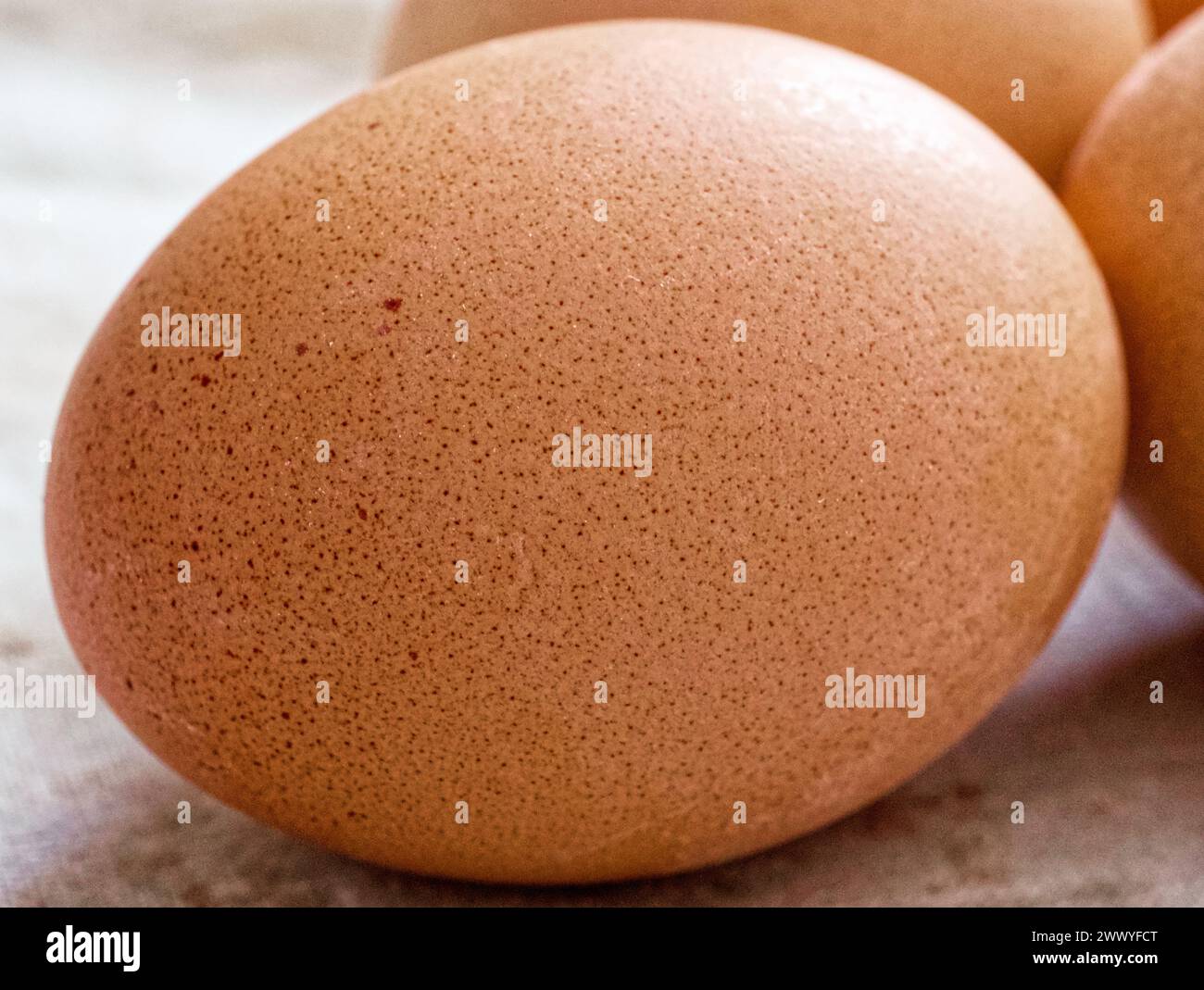 Close-up view of brown eggs showcasing their textured surface ...