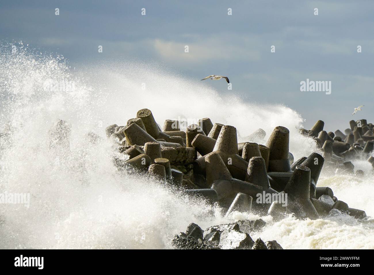 Big wave breaking on breakwater, stormy sea, crashing waves, wave ...