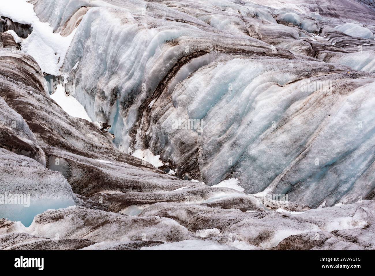 Andean landscapes, snow, ice and glacier in the Cayambe volcano ...