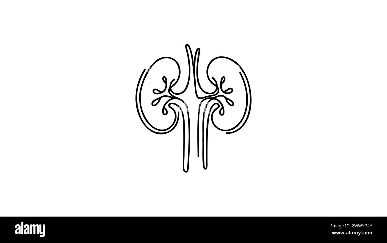 Human internal organs drawing Black and White Stock Photos & Images - Alamy