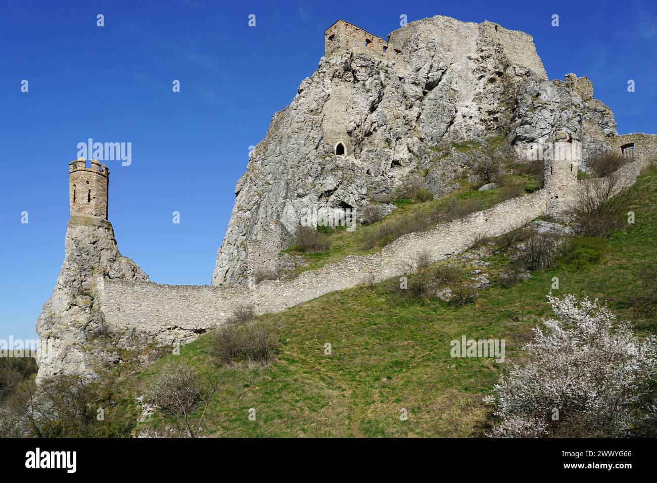 Devin castle fortified walls and Maiden tower on the bank of Danube and ...