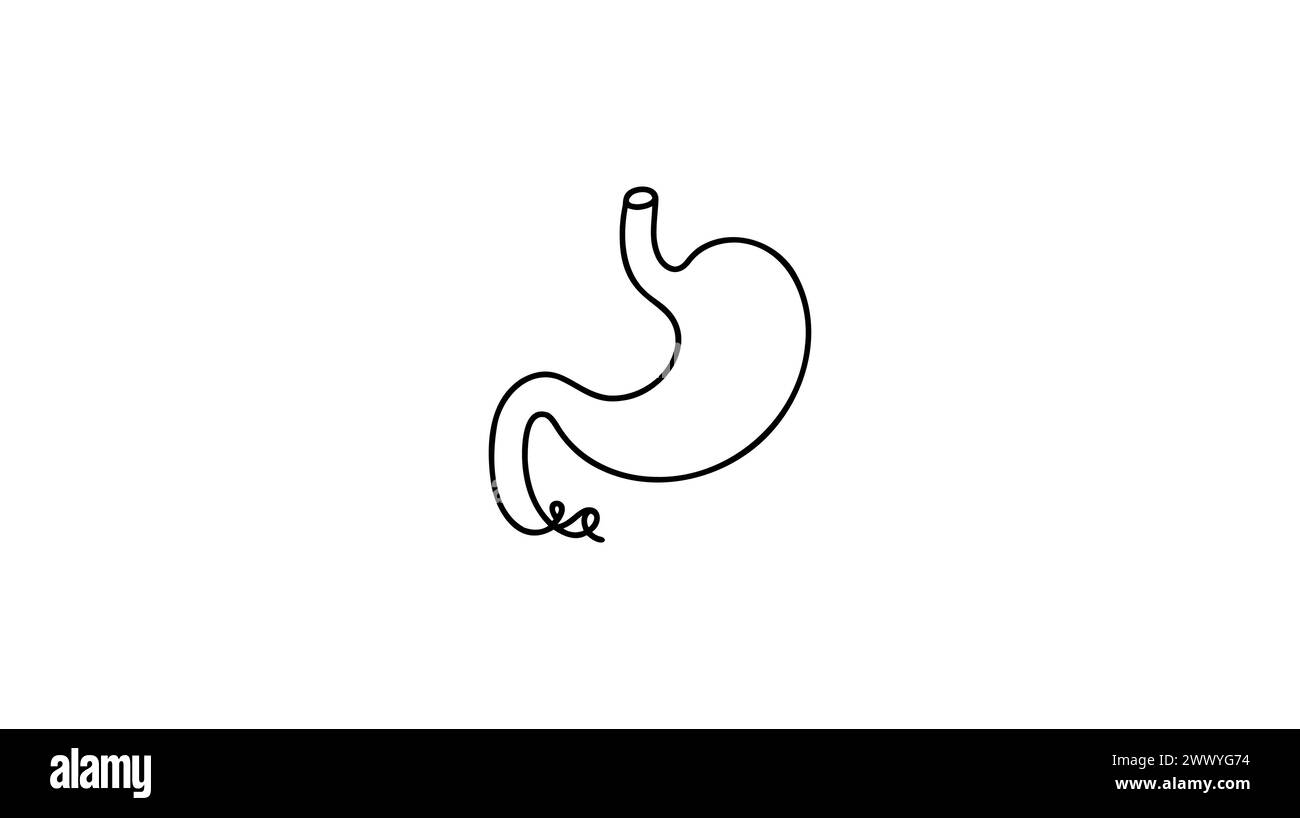 Single continuous line of Stomach. Line art of Stomach human organ ...