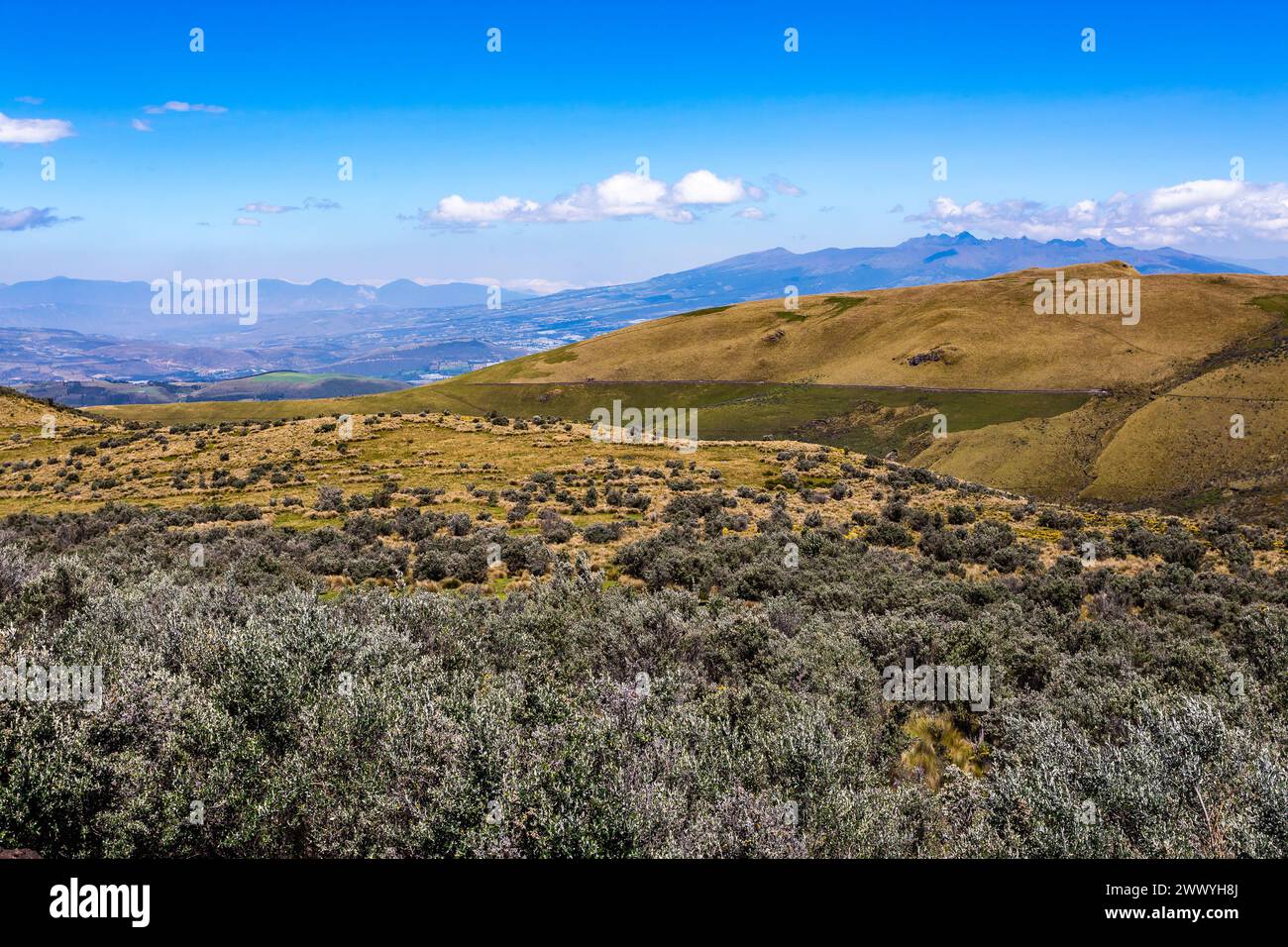 Andean landscapes, snow, ice and glacier in the Cayambe volcano ...