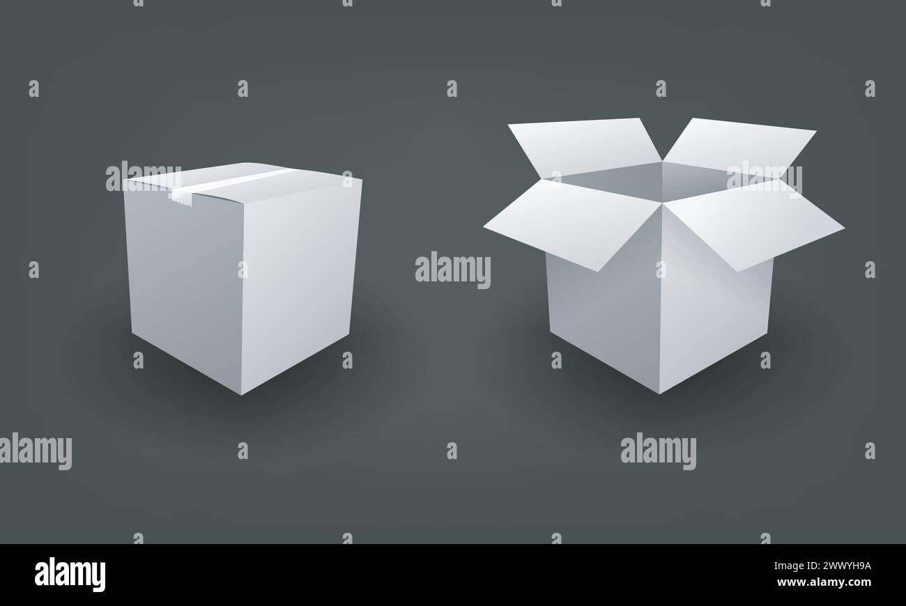 Blank Open And Closed White Box Package Business Concept, Vector ...
