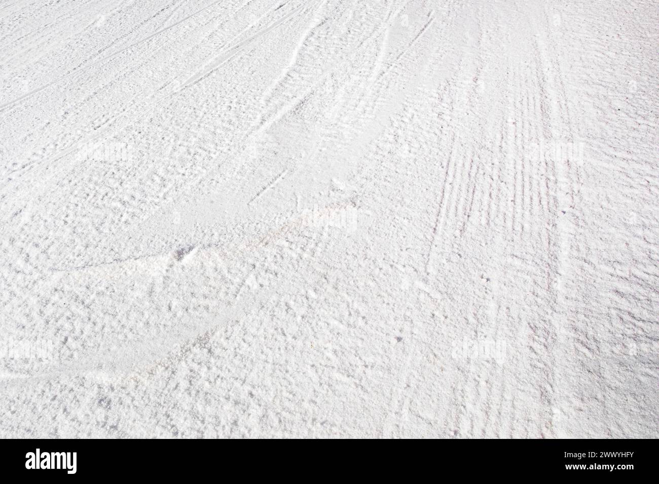 hidden snow in the early morning at a snow resort. Family active ...