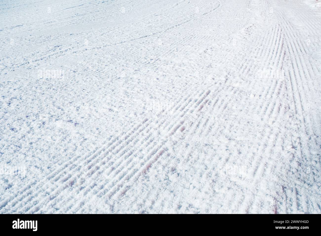 hidden snow in the early morning at a snow resort. Family active ...