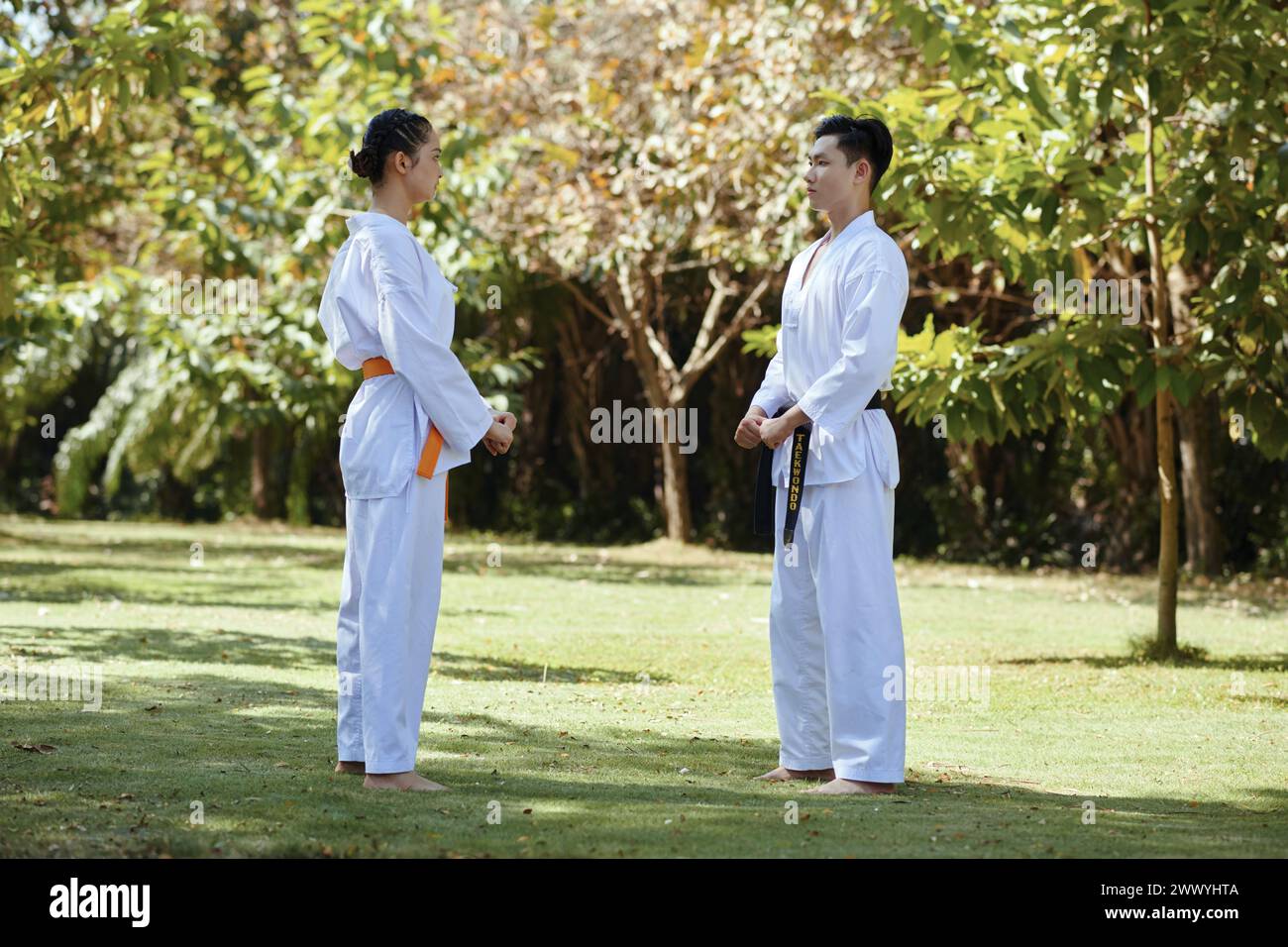 Taekwondo sparring hi-res stock photography and images - Alamy