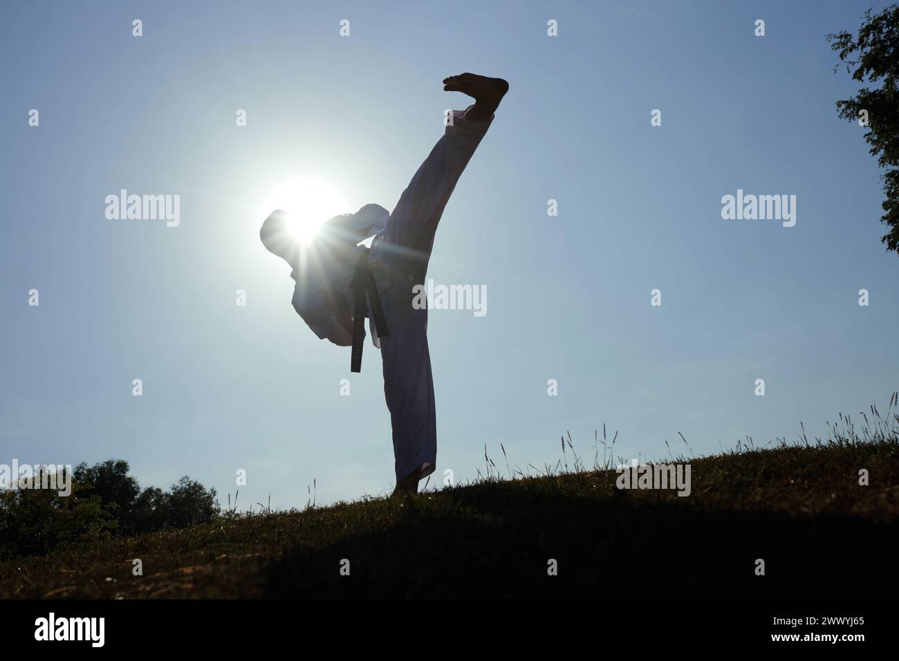 Taekwondo athlete doing high kick against raising sun Stock Photo - Alamy