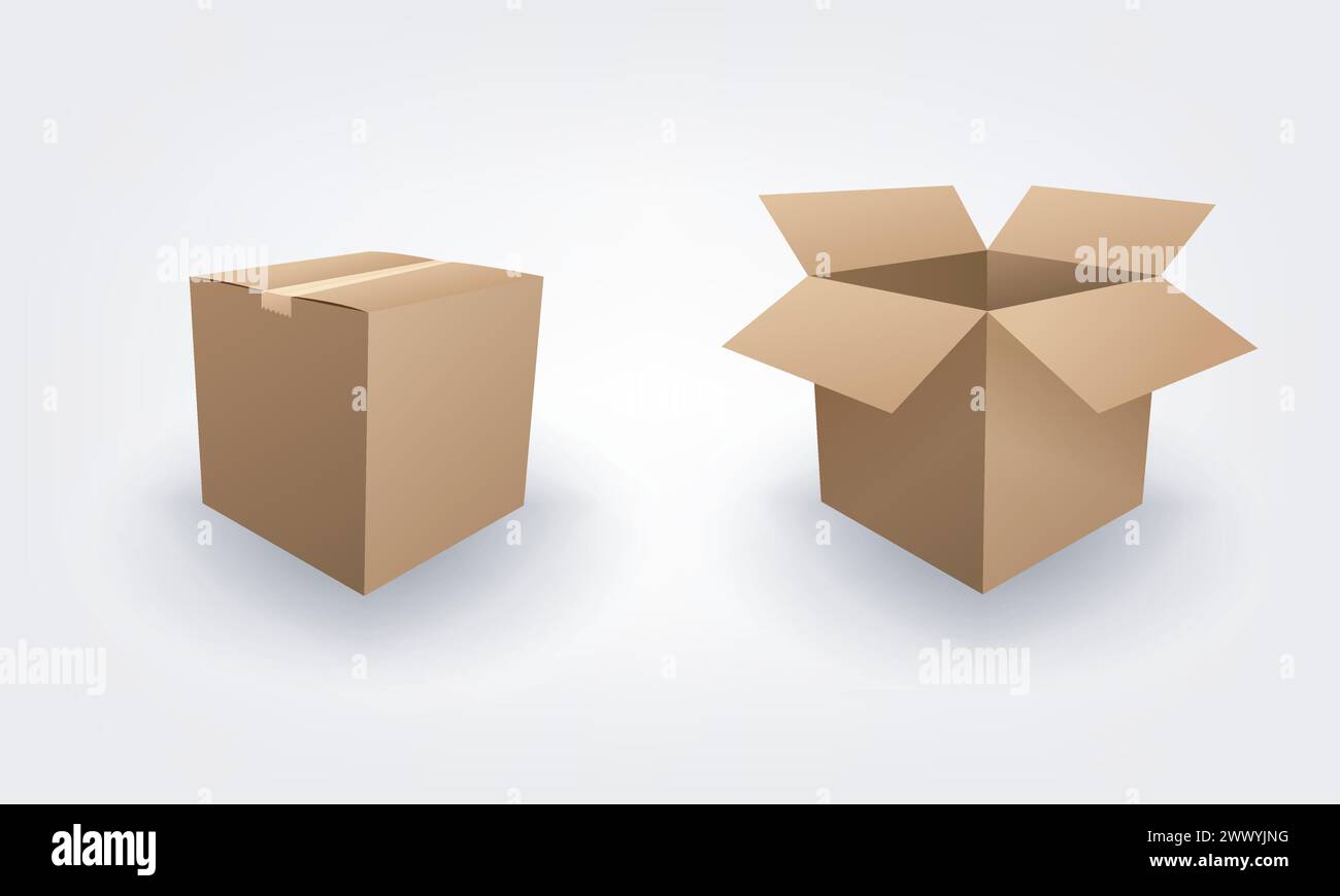Blank Open And Closed Brown Box Package Business Concept, Vector ...