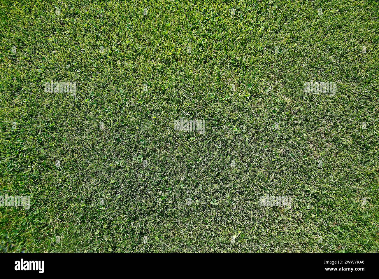Soccer training from above hi-res stock photography and images - Alamy