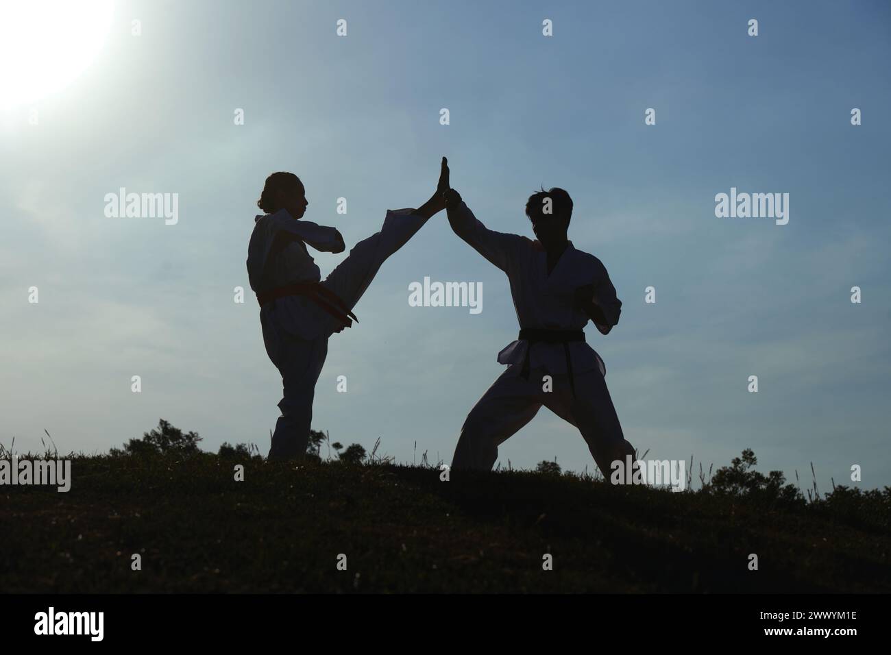 Silhouette of taekwondo athlete blocking high kick of opponent Stock ...