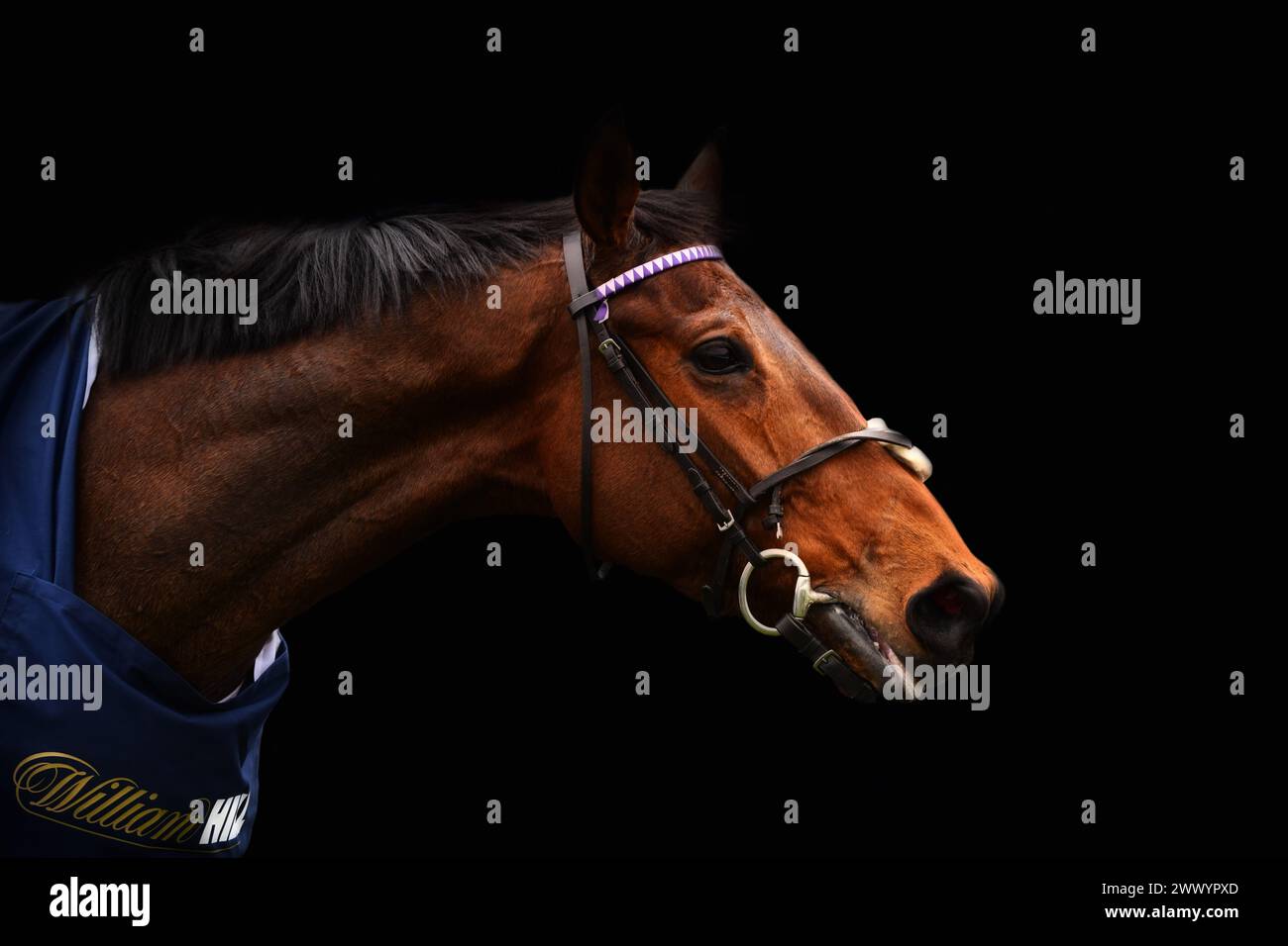 Mr professor doncaster hi-res stock photography and images - Alamy