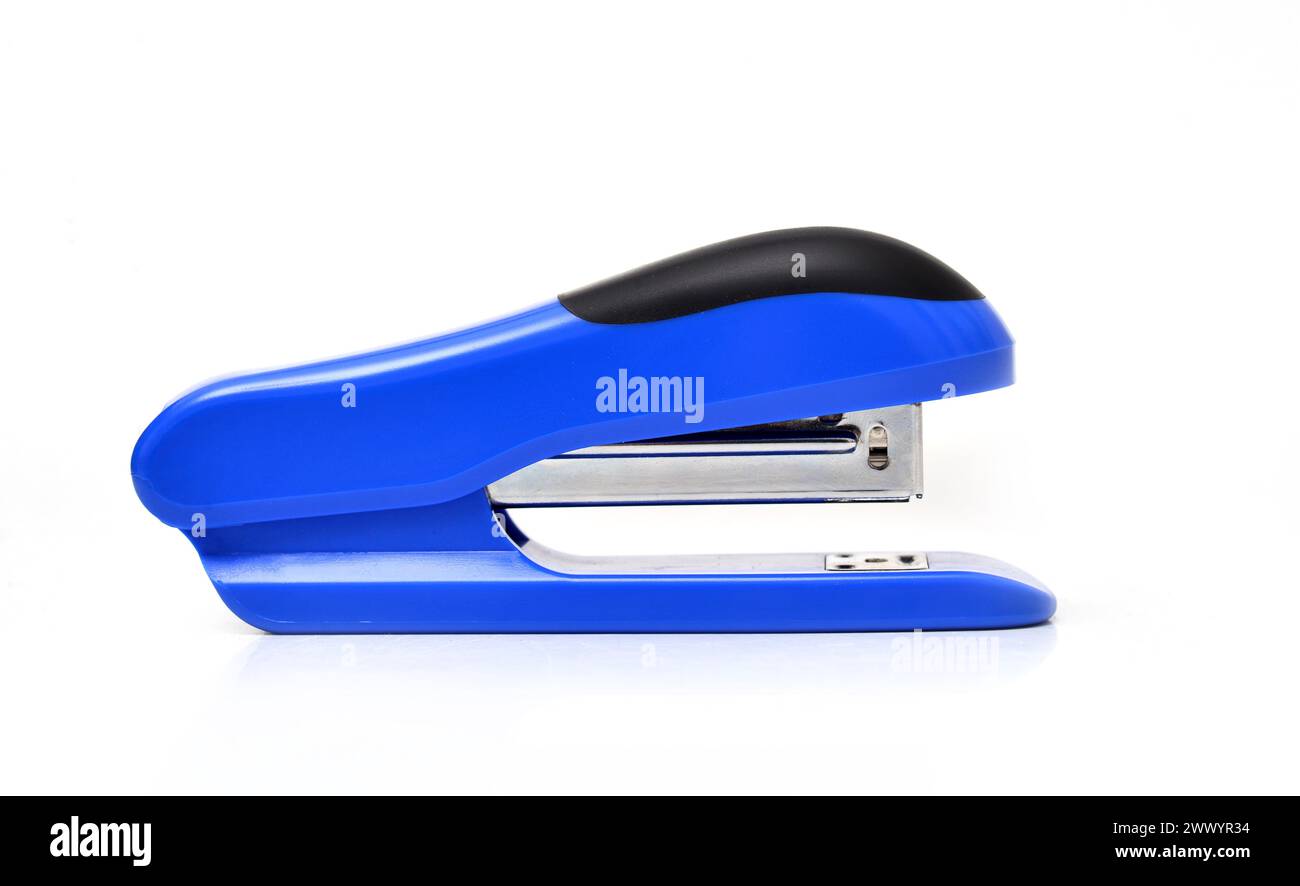 blue office stapler on a white background. High quality photo Stock ...