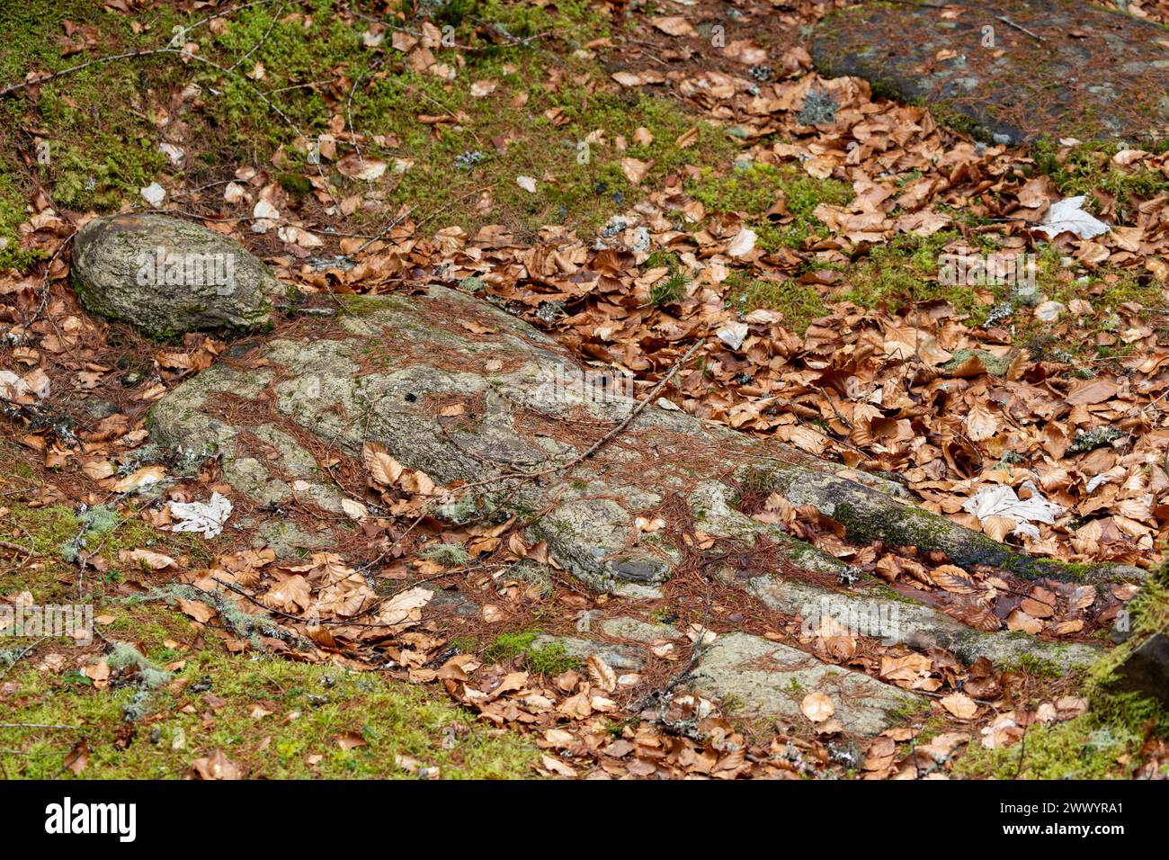 The Clan Macnab Burial Ground is on the island "Innis Bhuidhe" in the ...