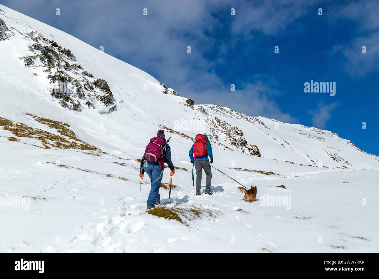Walkers in a snow gully on the ascent to the Munro Meall nan Tarmachan ...