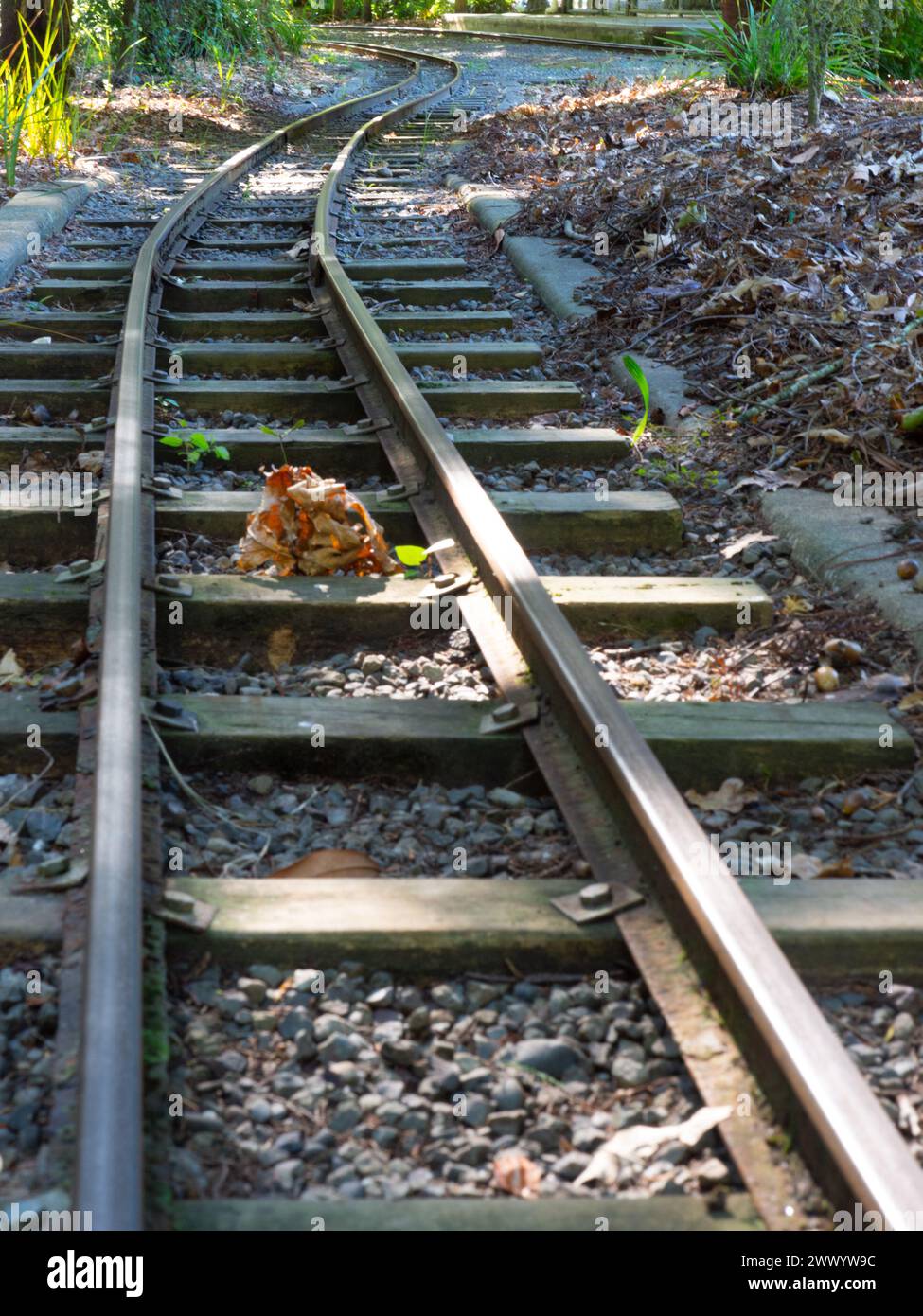 Botanic Gardens Railway Track Stock Photo - Alamy