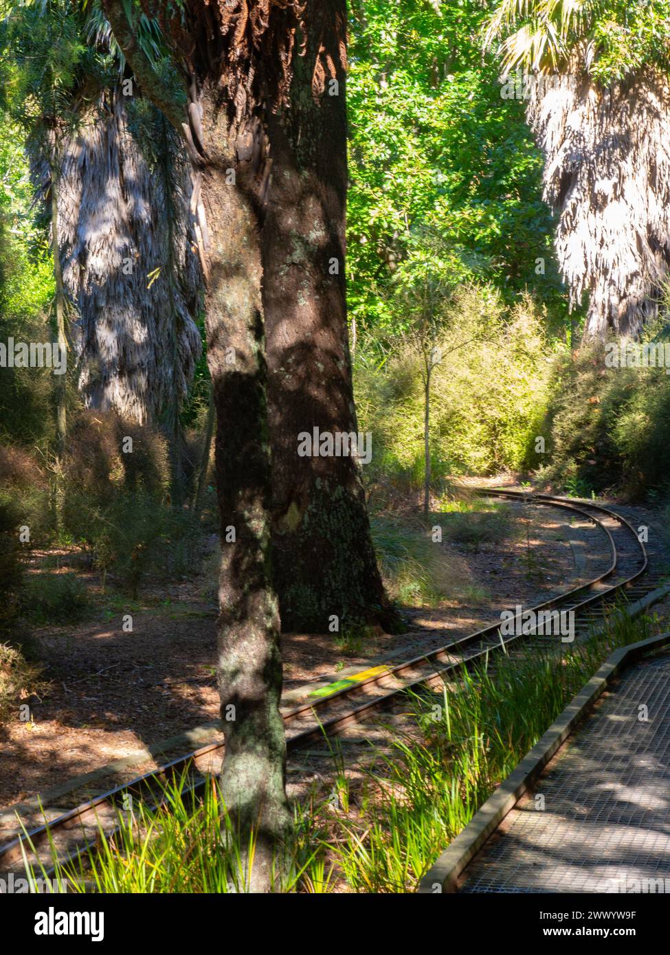 Miniature Railway Tracks Amongst Trees Stock Photo - Alamy