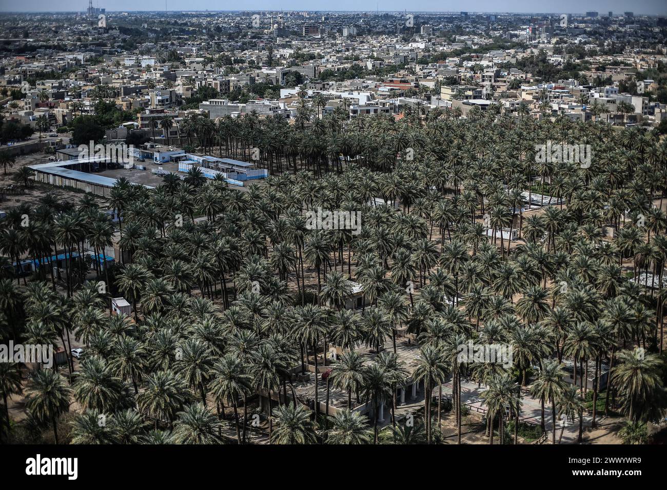 Baghdad, Iraq. 26th Mar, 2024. An aerial view shows a date plantation ...