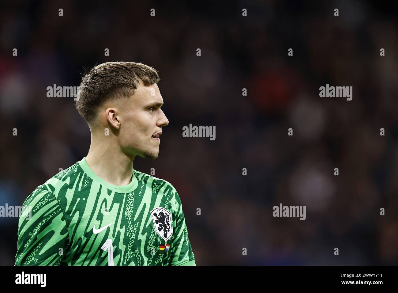 FRANKFURT - Holland goalkeeper Bart Verbruggen during the friendly Interland match between ...