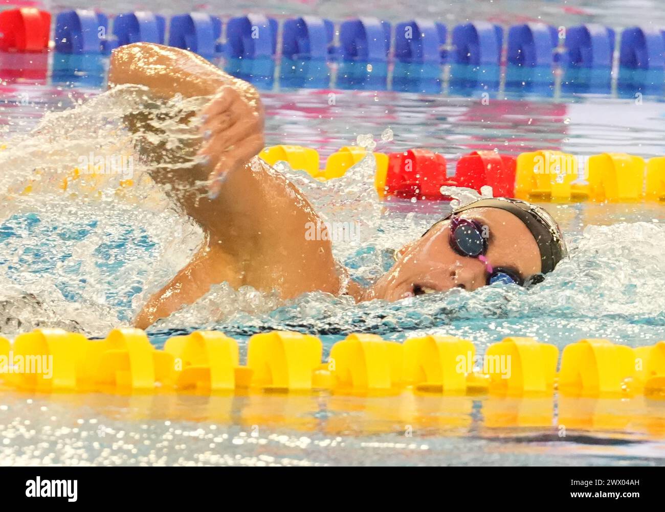 Mary-Sophie Harvey during the Giant Open 2024, Swimming event on March ...