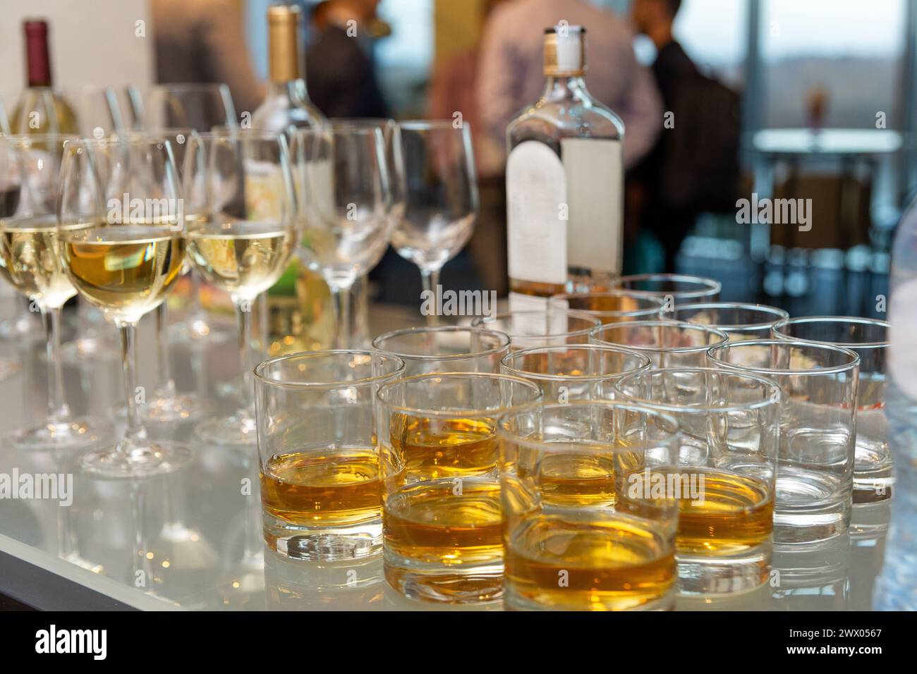 A lot of glasses with scotch, brandy and whine stand on the bar ...