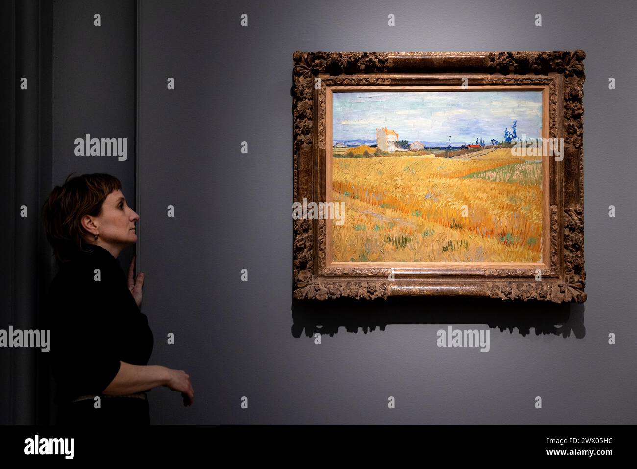 Vincent van gogh paintings in frame hi-res stock photography and images ...