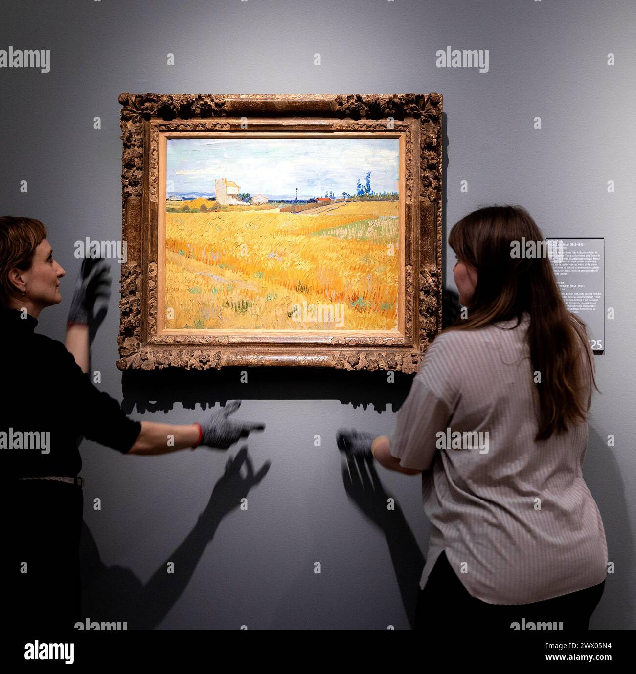 AMSTERDAM - Three works by Vincent van Gogh are being installed in a ...
