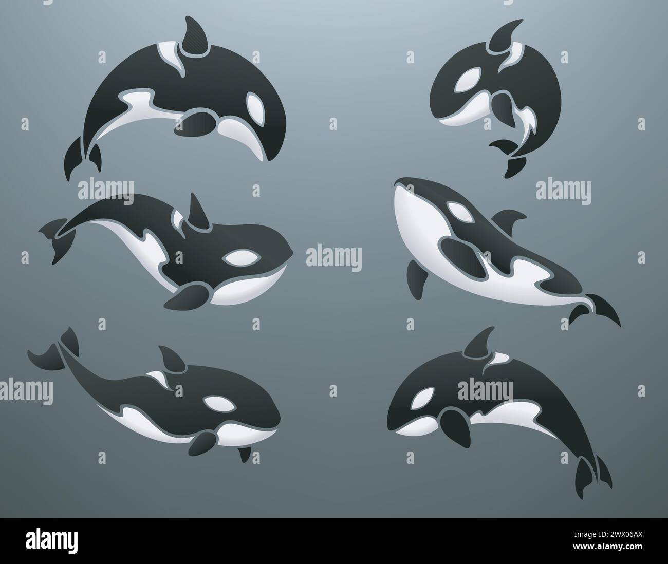 Orca Logotype Set, Vector Illustration Stock Vector Image & Art - Alamy
