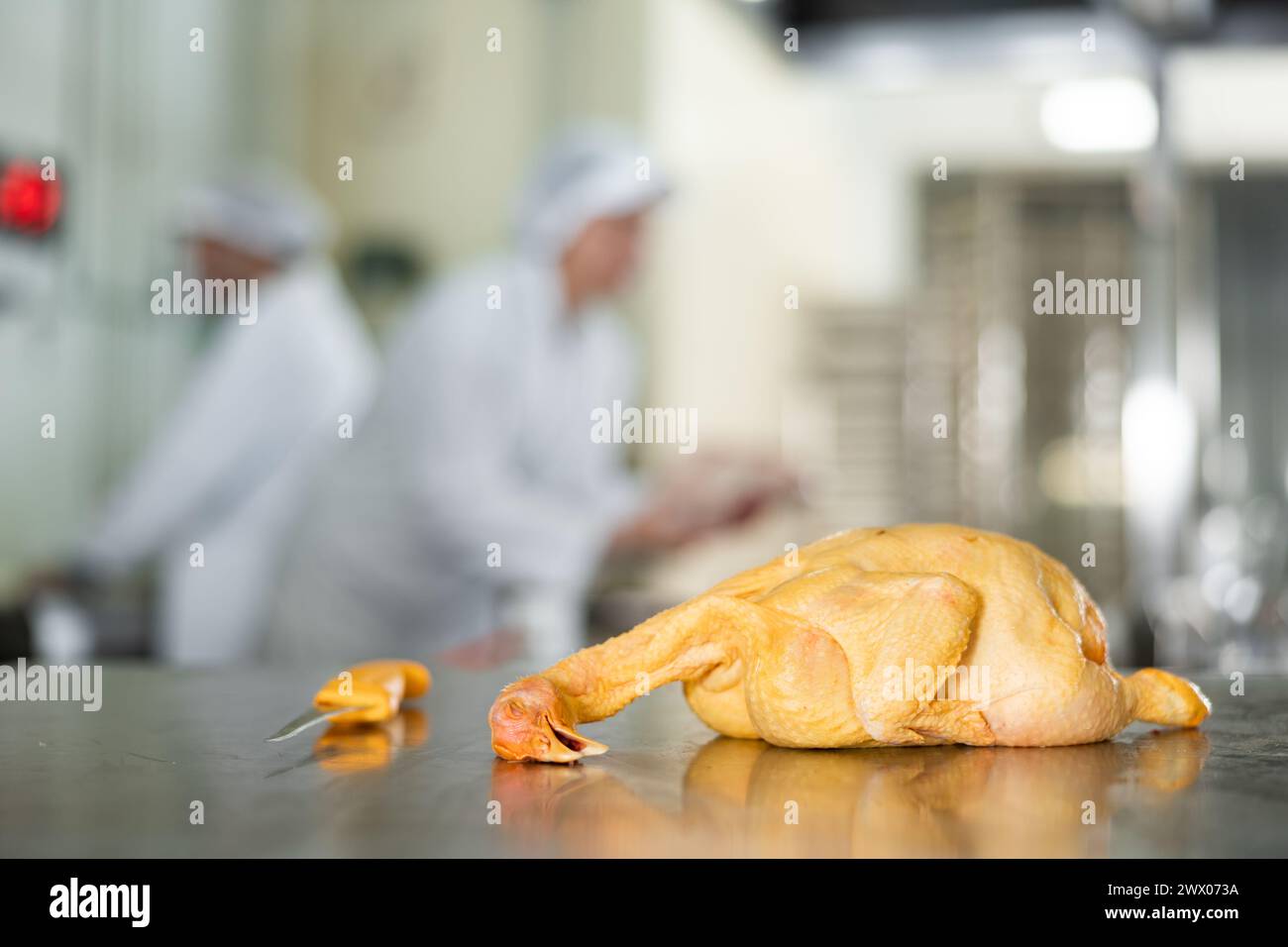 Raw dressed chicken lying on cutting table of butchers shop Stock Photo ...