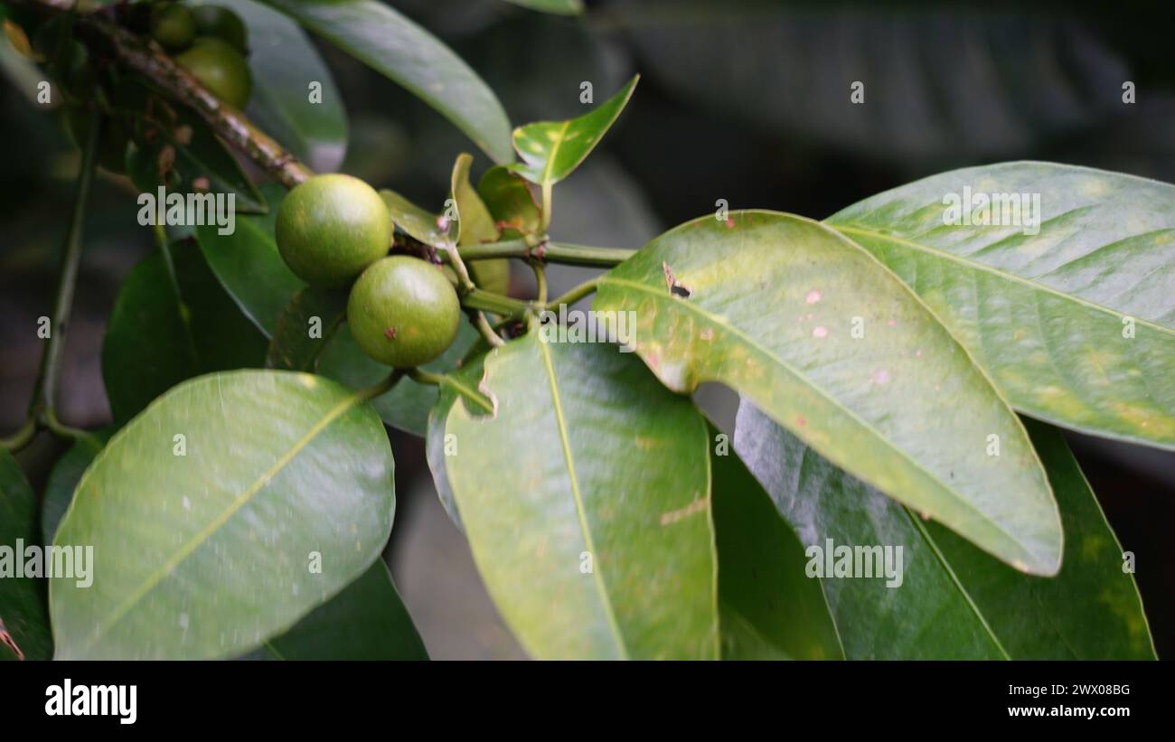 Taklang anak hi-res stock photography and images - Alamy