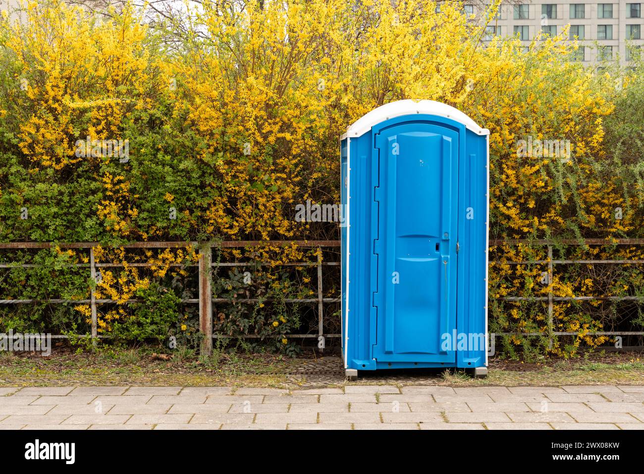 Portable dry toilet located near the bush. Portable dry toilet close-up ...