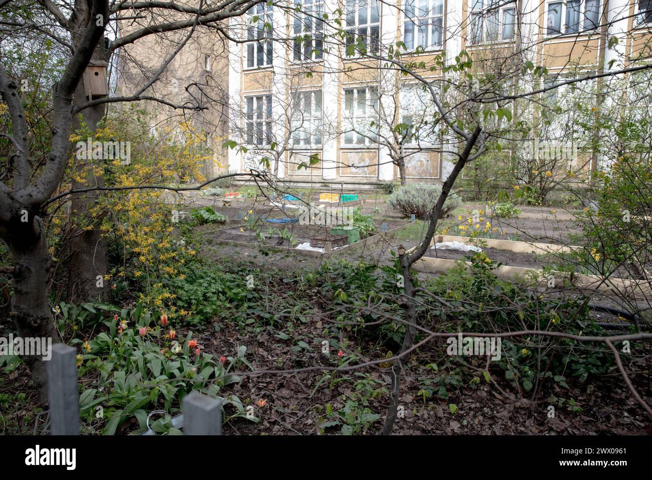 Amidst the urban landscape of Berlin, there lies a burgeoning movement ...