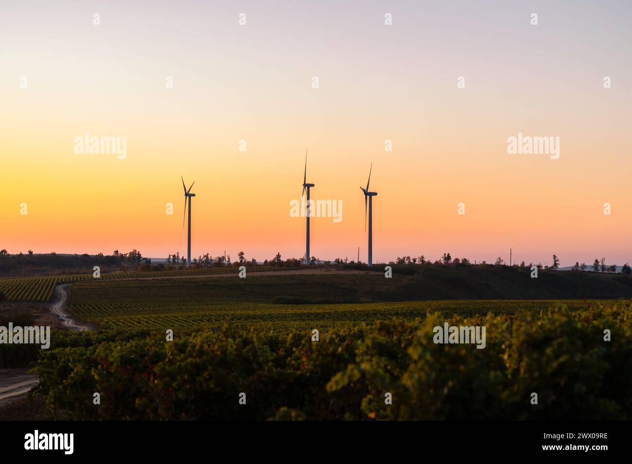 Beautiful sunset landscape shot with three wind turbines on a vine ...