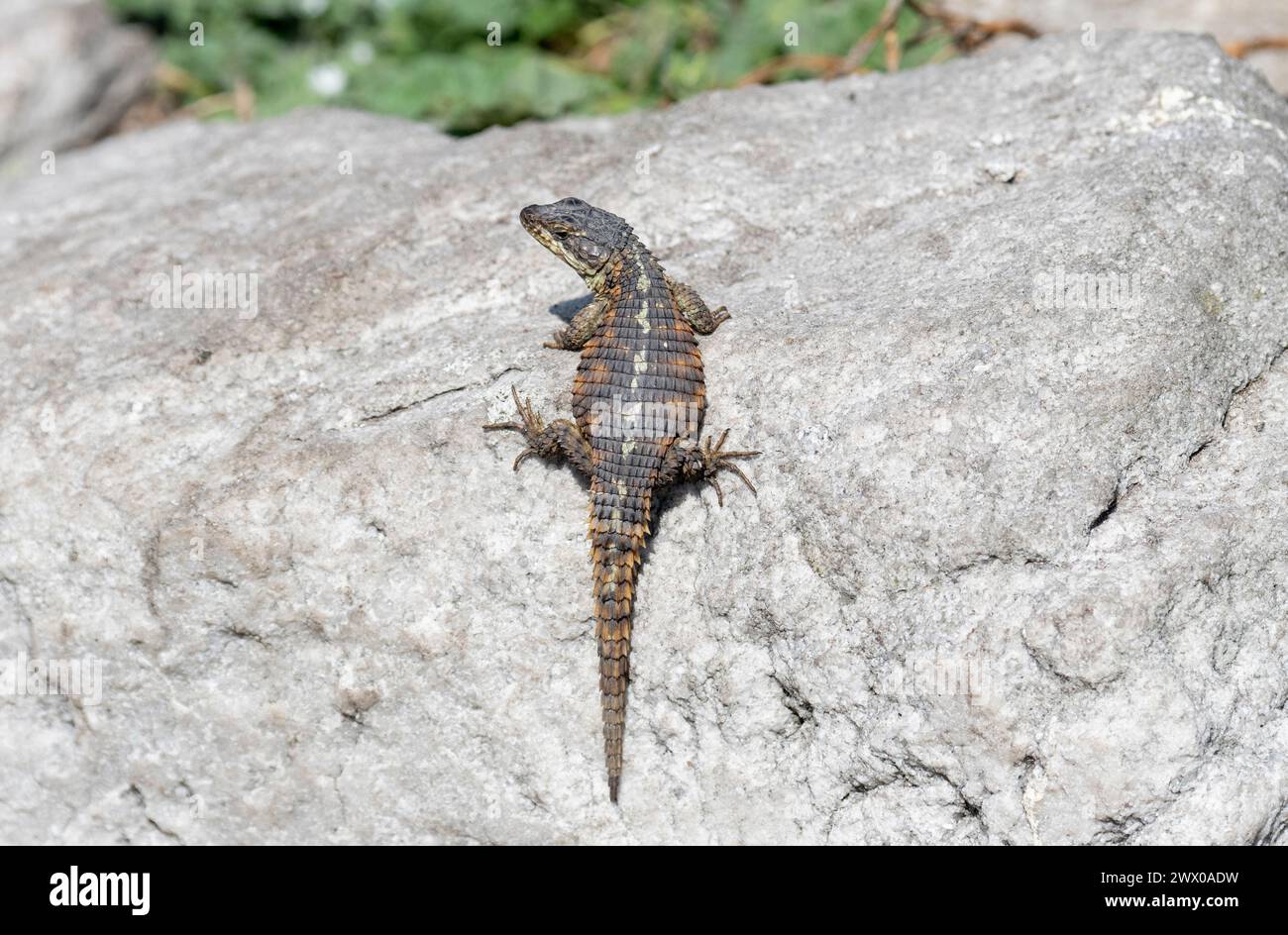 Surface characteristics hi-res stock photography and images - Alamy