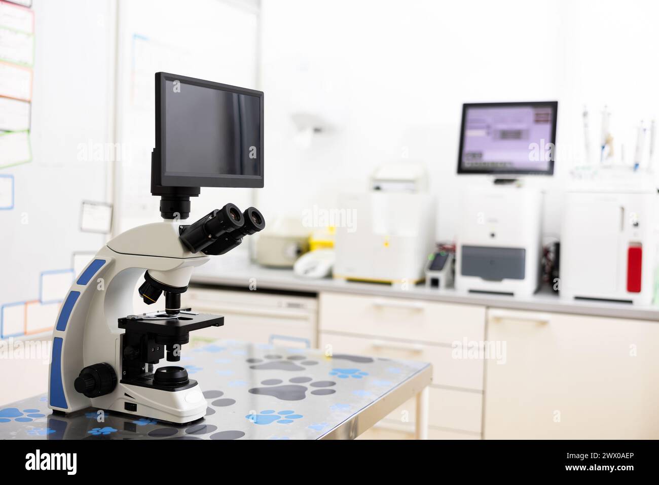 Microscope with multiple magnification, additional monitor screen are ...