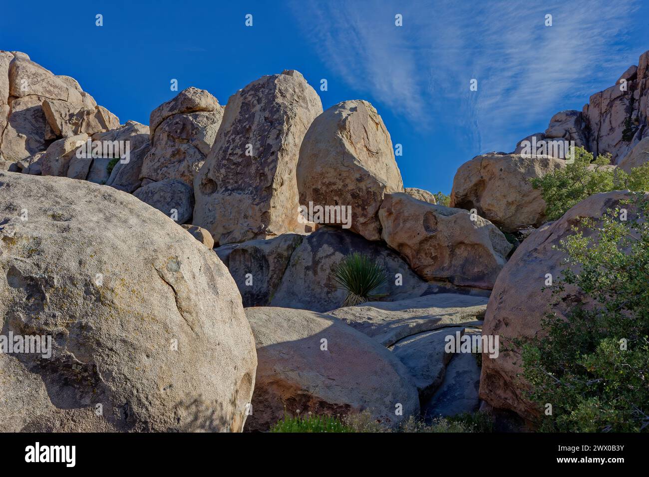 Superclear hi-res stock photography and images - Alamy