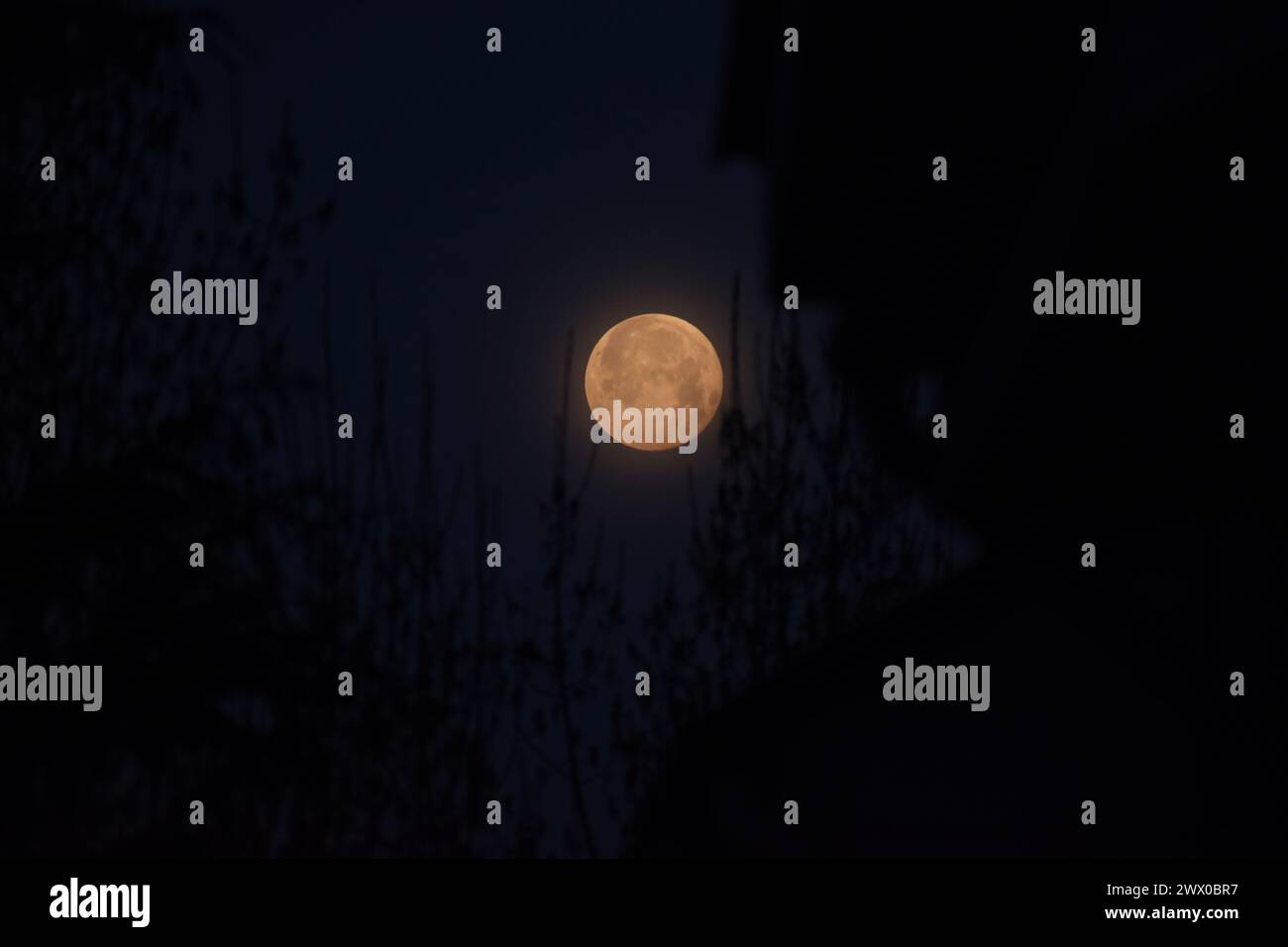 Full moon over india hi-res stock photography and images - Alamy